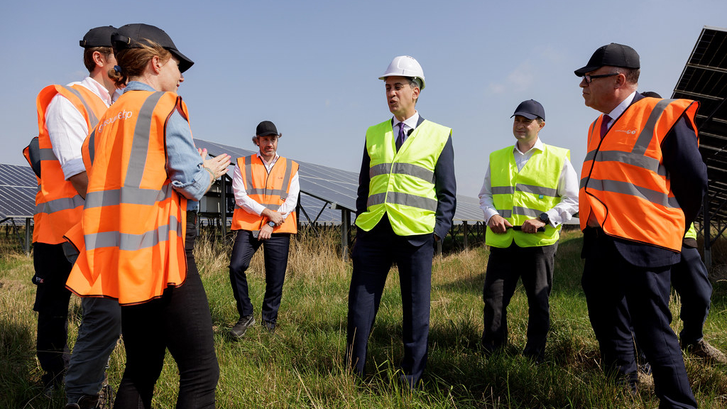Despite it all: what explains the resilience of green bonds ...