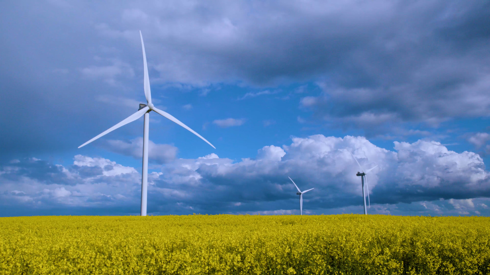 UK government pledges £300m to offshore wind as clean energy investors ...