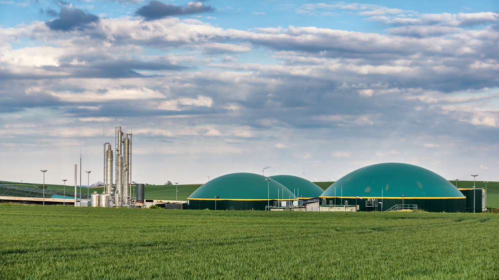 Incoming New York City comptroller appoints interim CIO - Net Zero Investor