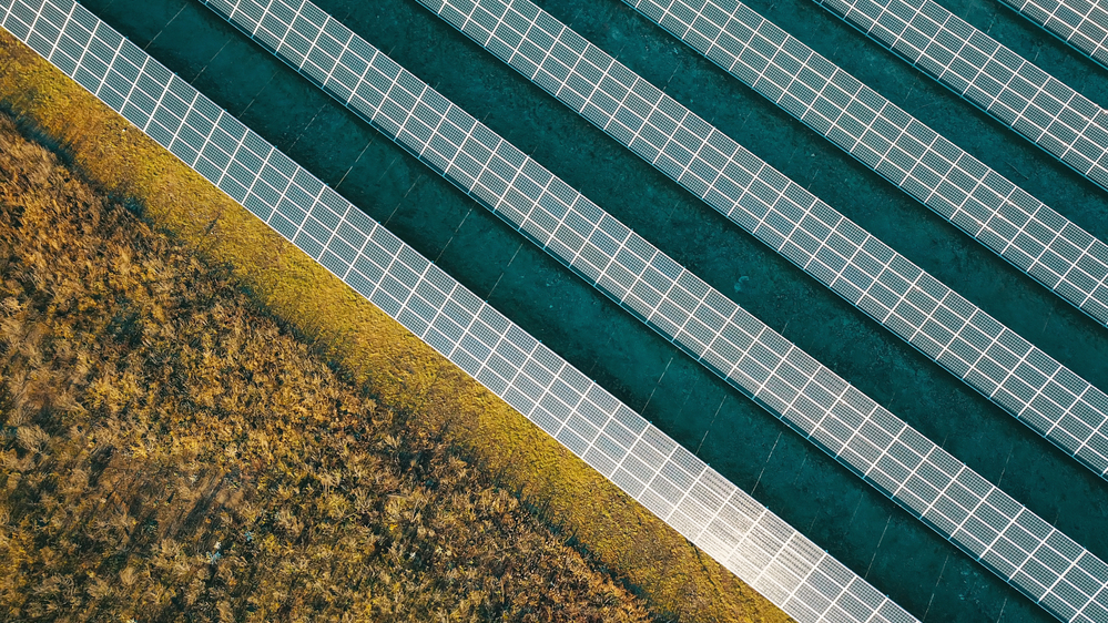 CDP launches ISSB aligned disclosure platform - Net Zero Investor